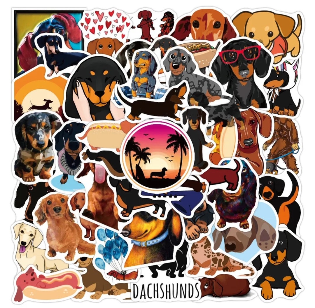 50 Adorable Dachshund Stickers Dachshund Accessories Sausage Dog ...