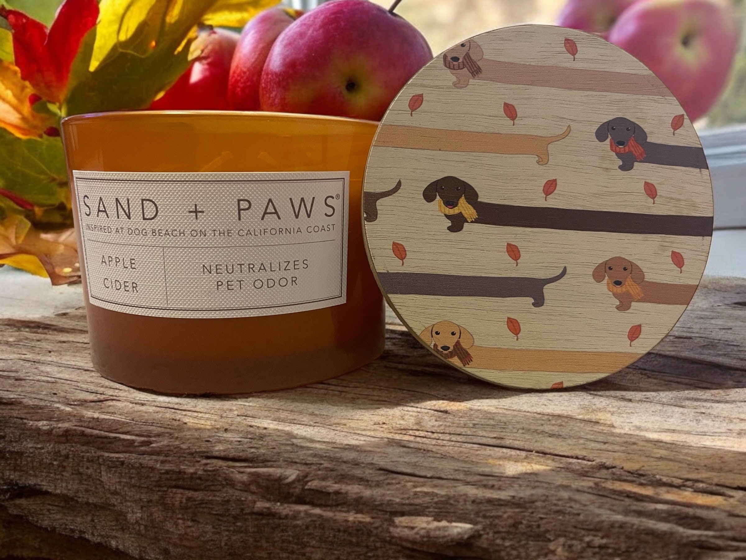 Sand and Paws Dachshund Candle Sausage Dog Accessories for Friend Etsy