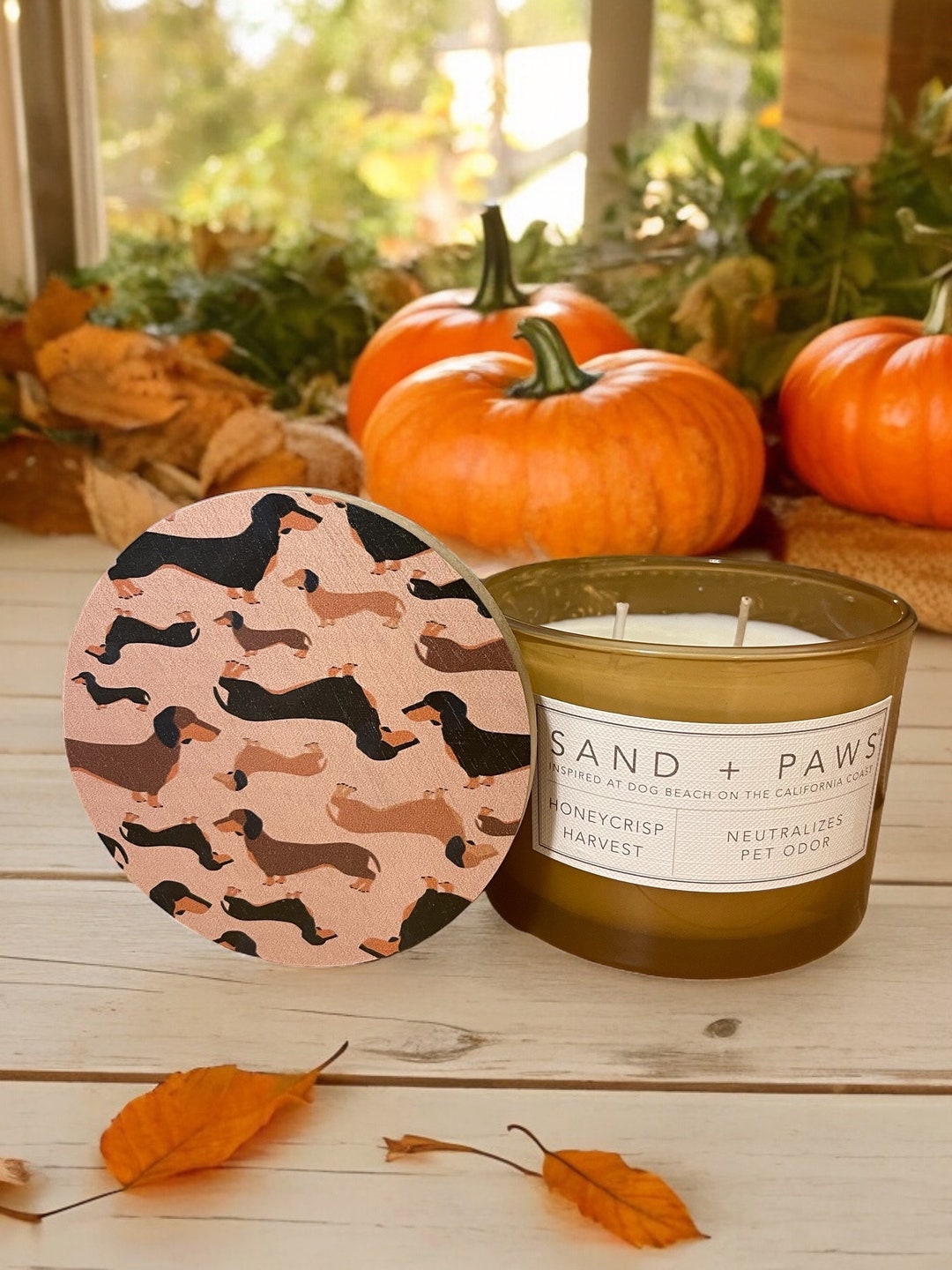 Sand and Paws Dachshund Candle Sausage Dog Accessories for Friend - Etsy