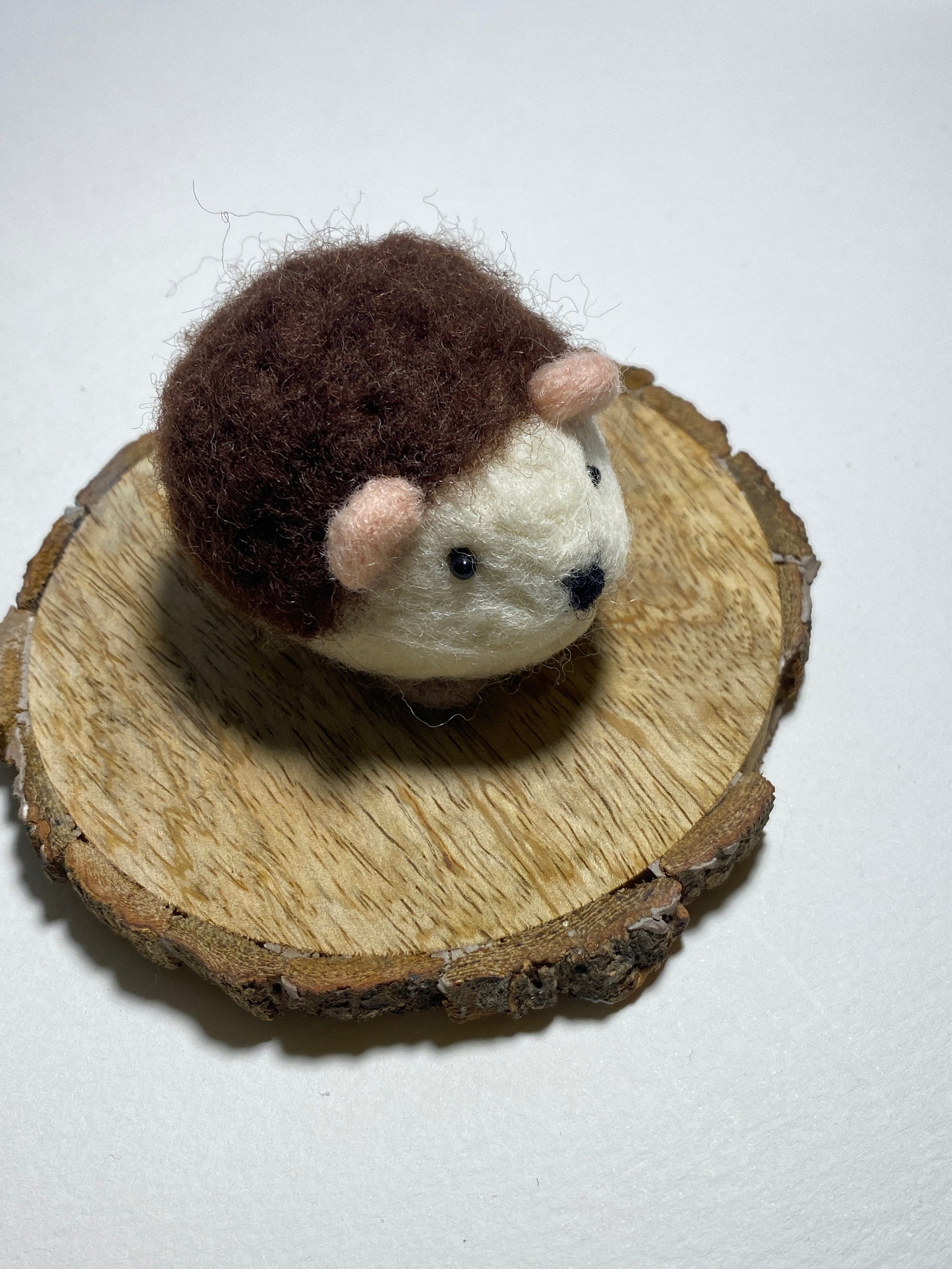 Needle Felt Animal Felt Needle Felting Hedgehog Cushion Hedgehog Decor ...