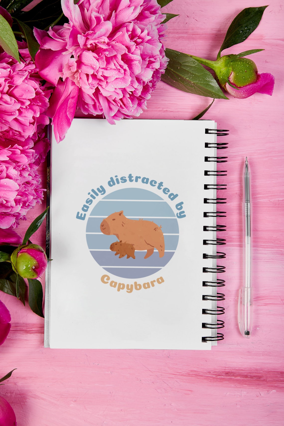 Capybara Sticker- Easily Distracted by Capybaras- - Transparent Indoor ...