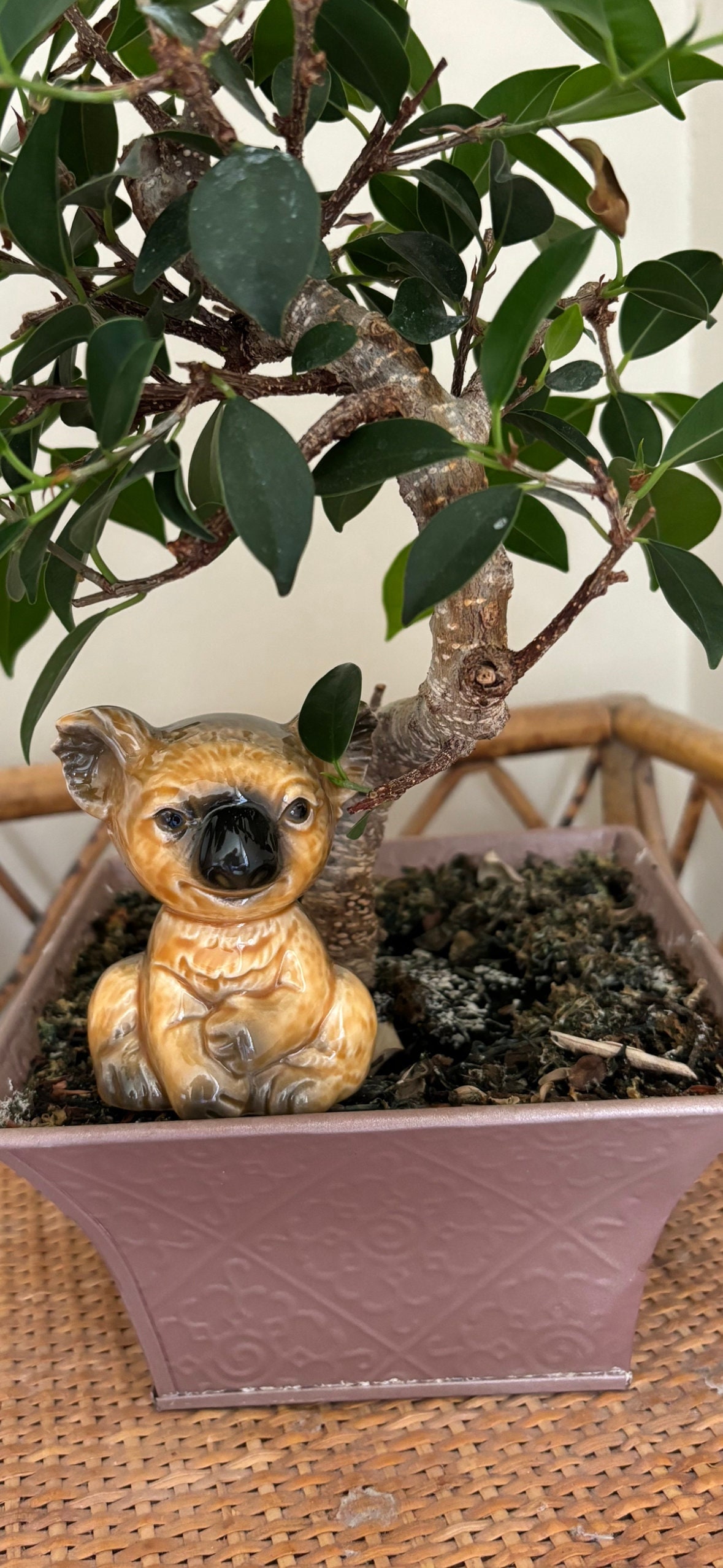 Vintage Goebel Koala Bear Porcelain Figurine West Germany Porcelain ...