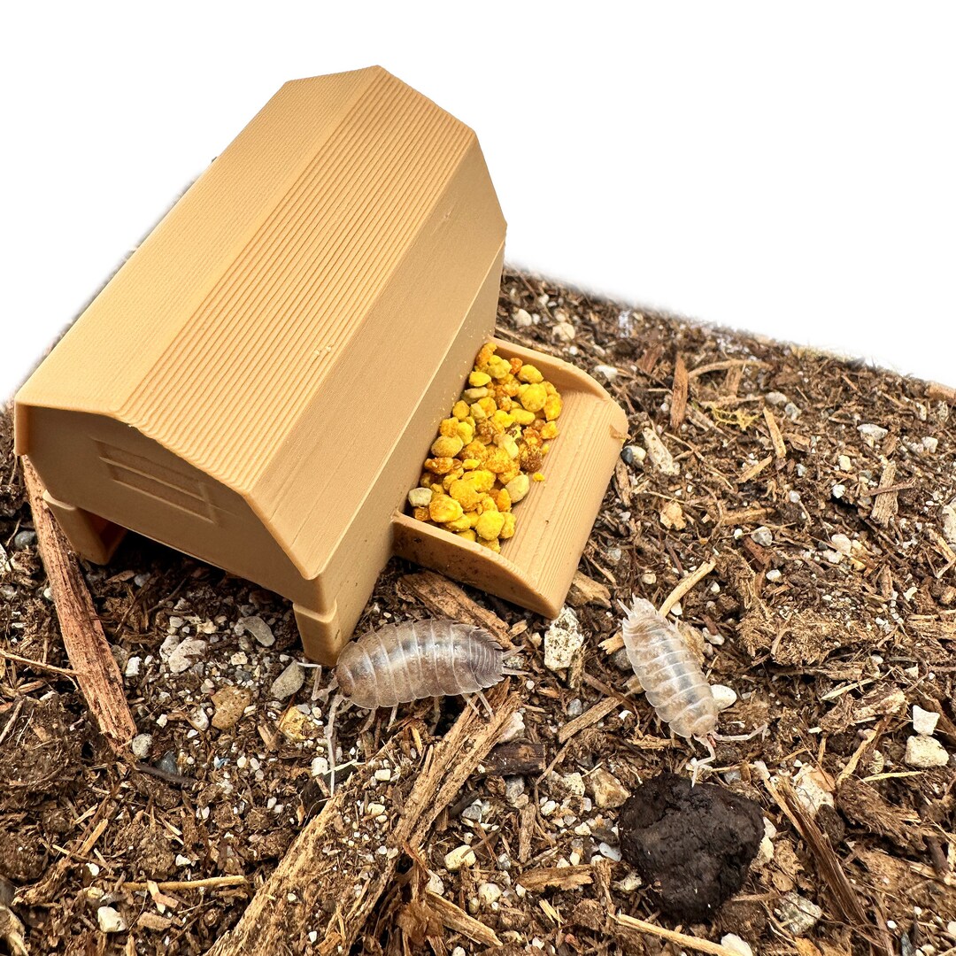 Dairy Cow Isopod Farm Barn Dariy Cow Isopod Barn Decor Feeding Dish - Etsy