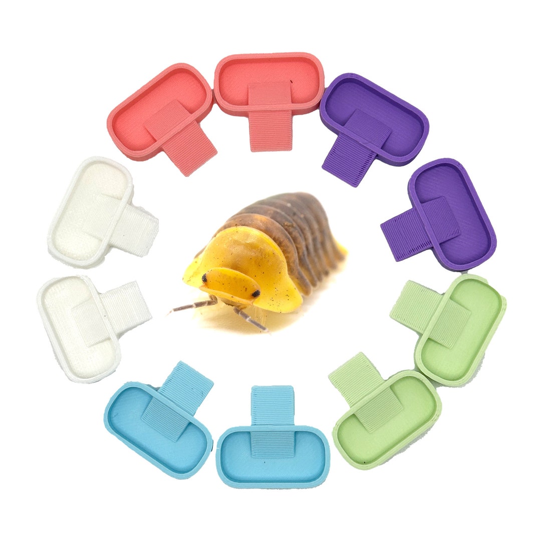 Isopod 10 Pack Feeding Dish Isopod Food Tray Insect Dish Insect Feeder ...