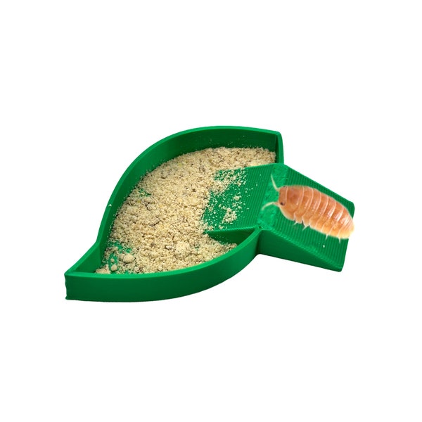 Bug Food Bowl - Etsy