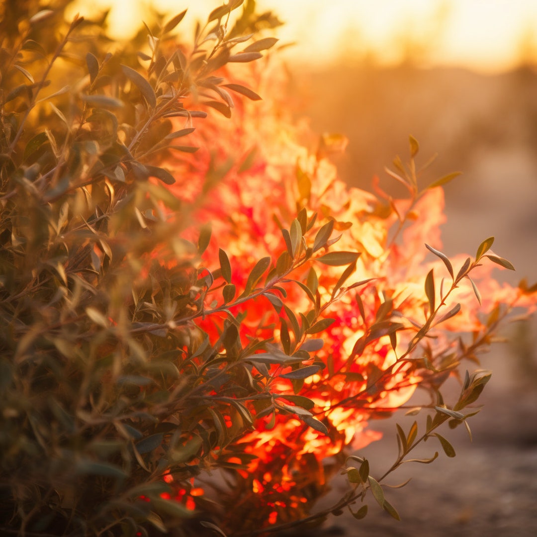 Burning Bush Digital Art Print, AI Generated Art - Etsy