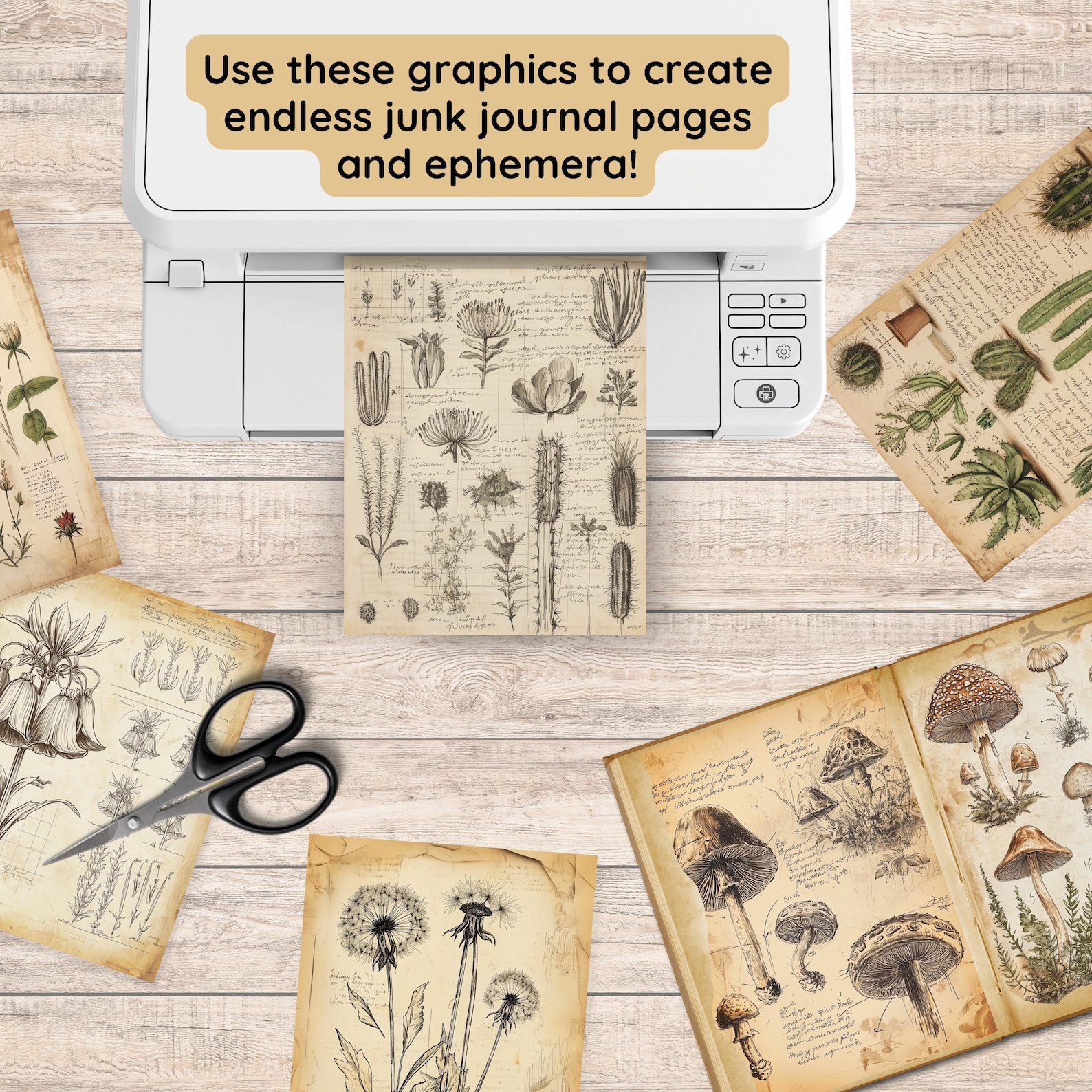 Botanist Field Journal Art Pages | Botanical Scrapbooking Papers ...