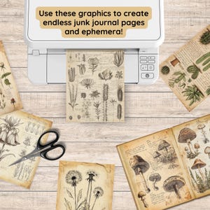 Botanist Field Journal Art Pages | Botanical Scrapbooking Papers ...