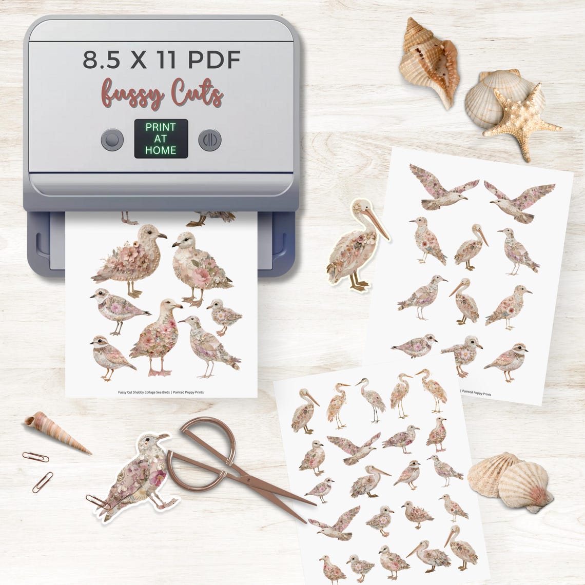 Shabby Chic Sea Birds Clipart | Vintage Floral Collage (PNG & PDF) - Etsy