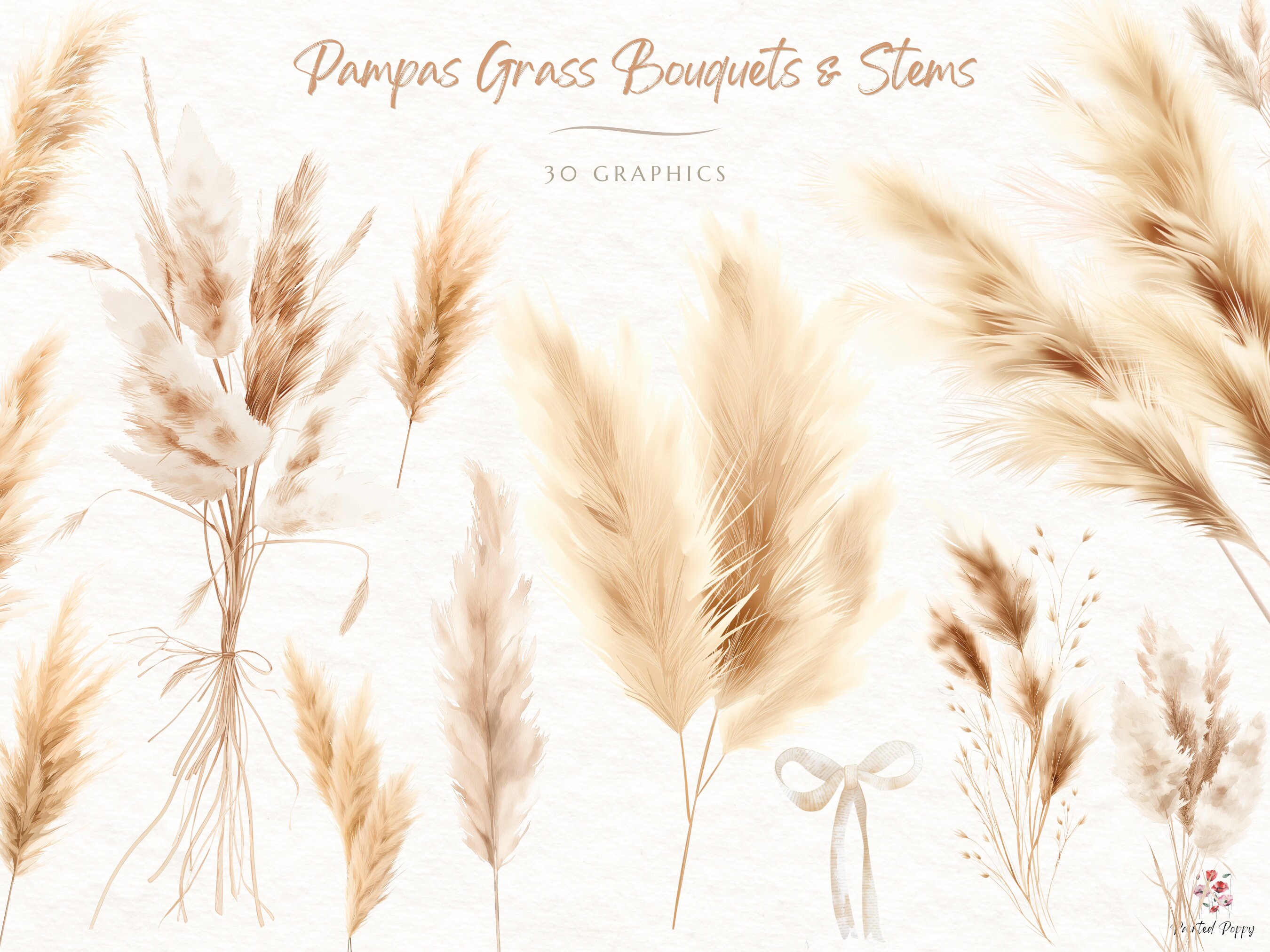 Pampas Grass Bouquets Clipart Boho Beige Clipart Bohemian Clipart ...