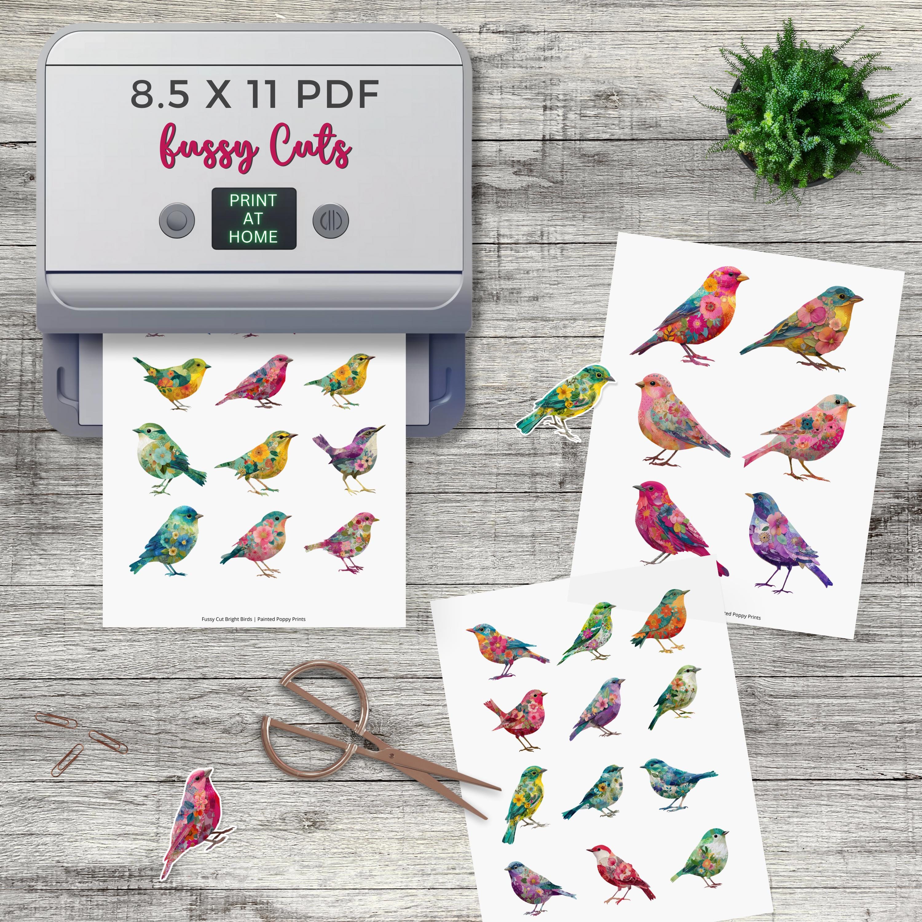Bright Birds Clipart | Mixed Media Collage Art | Bird Collage Art ...
