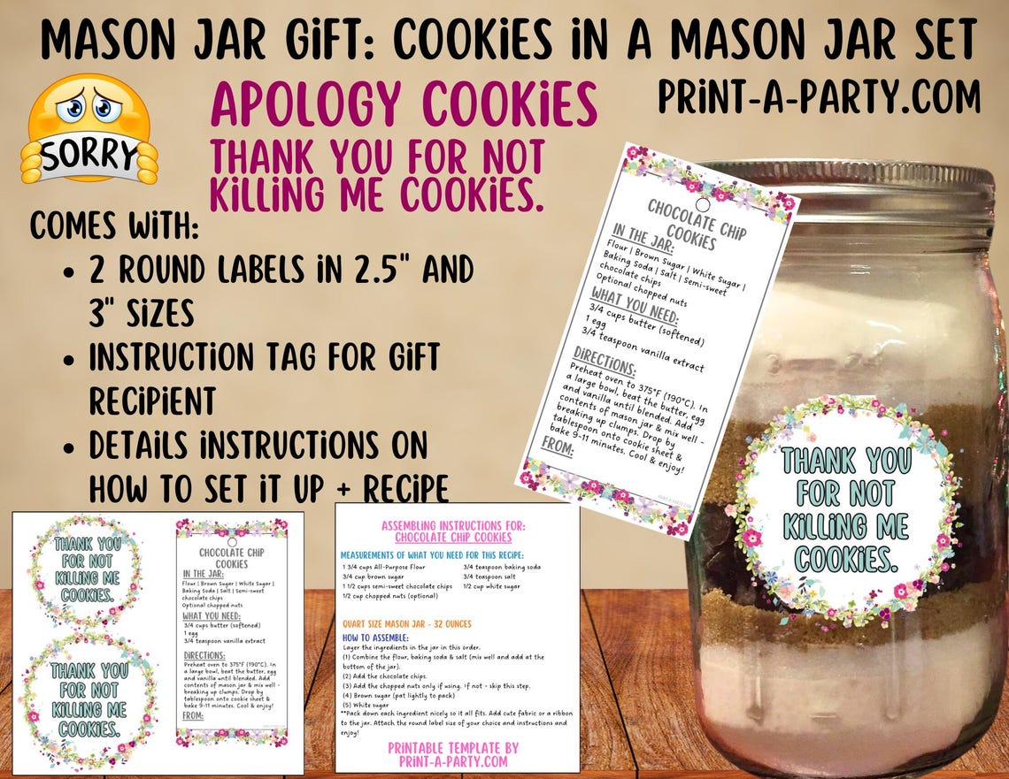 MASON JAR COOKIE Gift | Apology (dark Humor) Chocolate Chip Cookies in ...