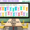 BACK to SCHOOL: Editable Meet the Teacher Template - Jungle Theme | All ...