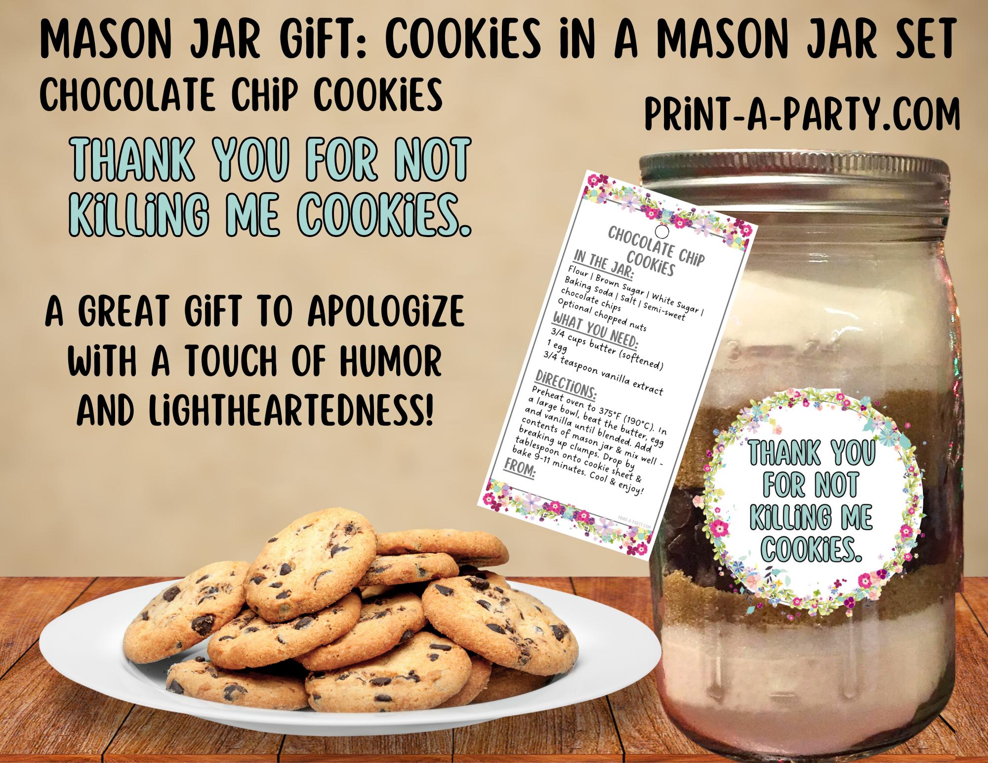 MASON JAR COOKIE Gift | Apology (dark Humor) Chocolate Chip Cookies in ...