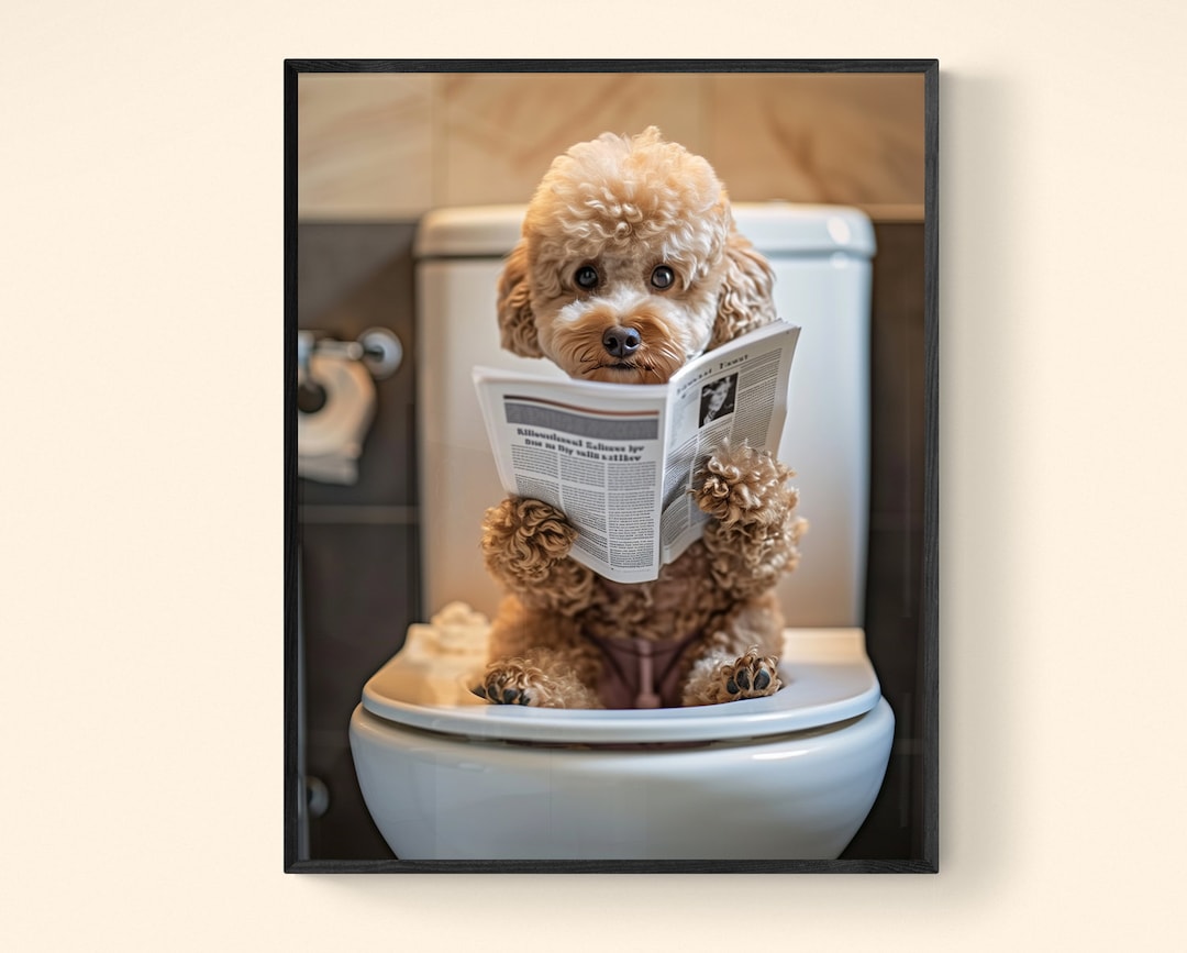 Toy Poodle Reading Newspaper on Toilet Cute and Funny Dog Bathroom Art ...