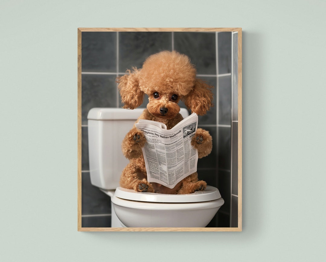 Adorable Poodle Reading Newspaper on Toilet Cute and Funny Dog Bathroom ...