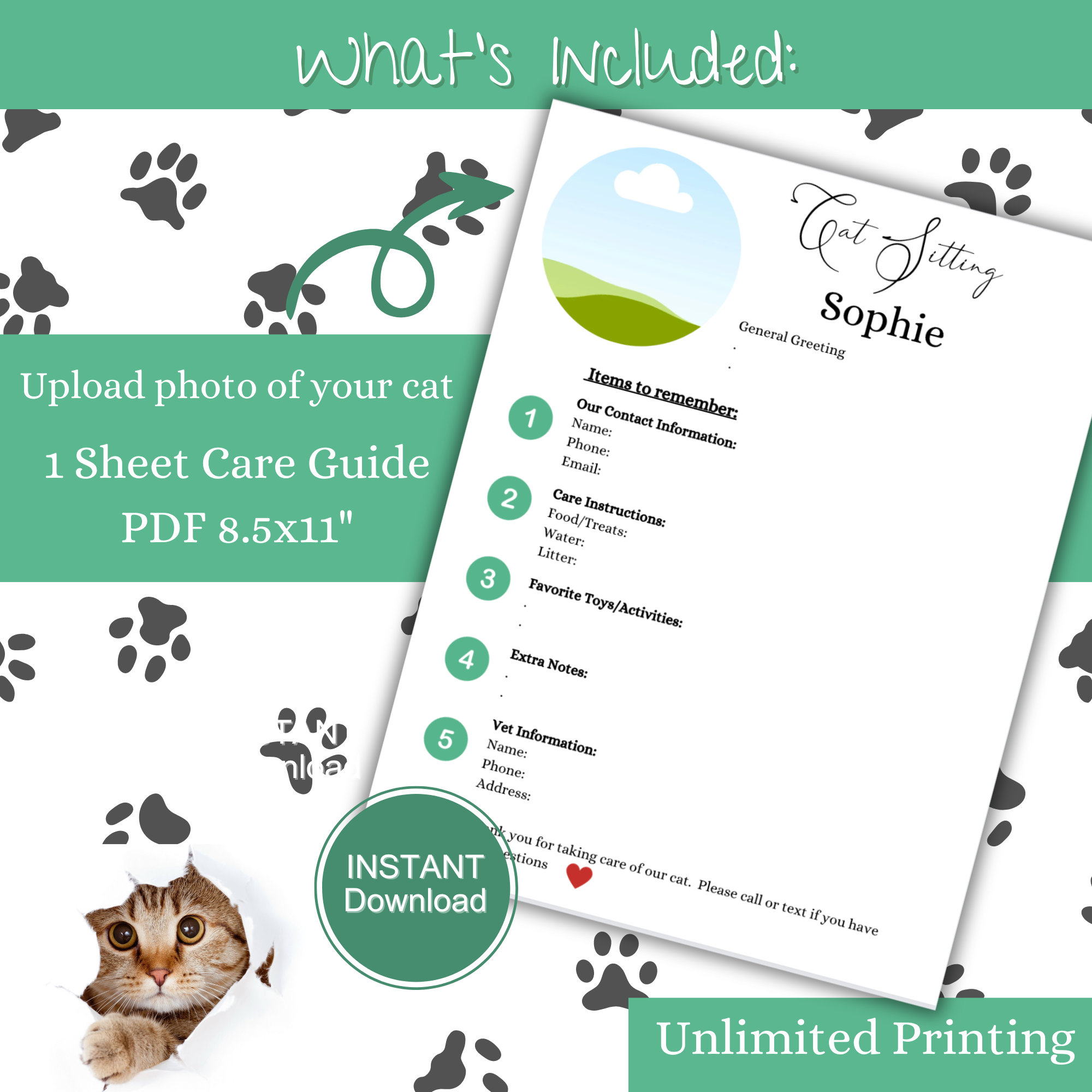 Cat Sitting Template Care Guide, Pet Sitting, Pet Instructions, Pet ...