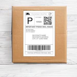 Fake Shipping Label Editable Canva Template, Funny Custom Gift Label ...