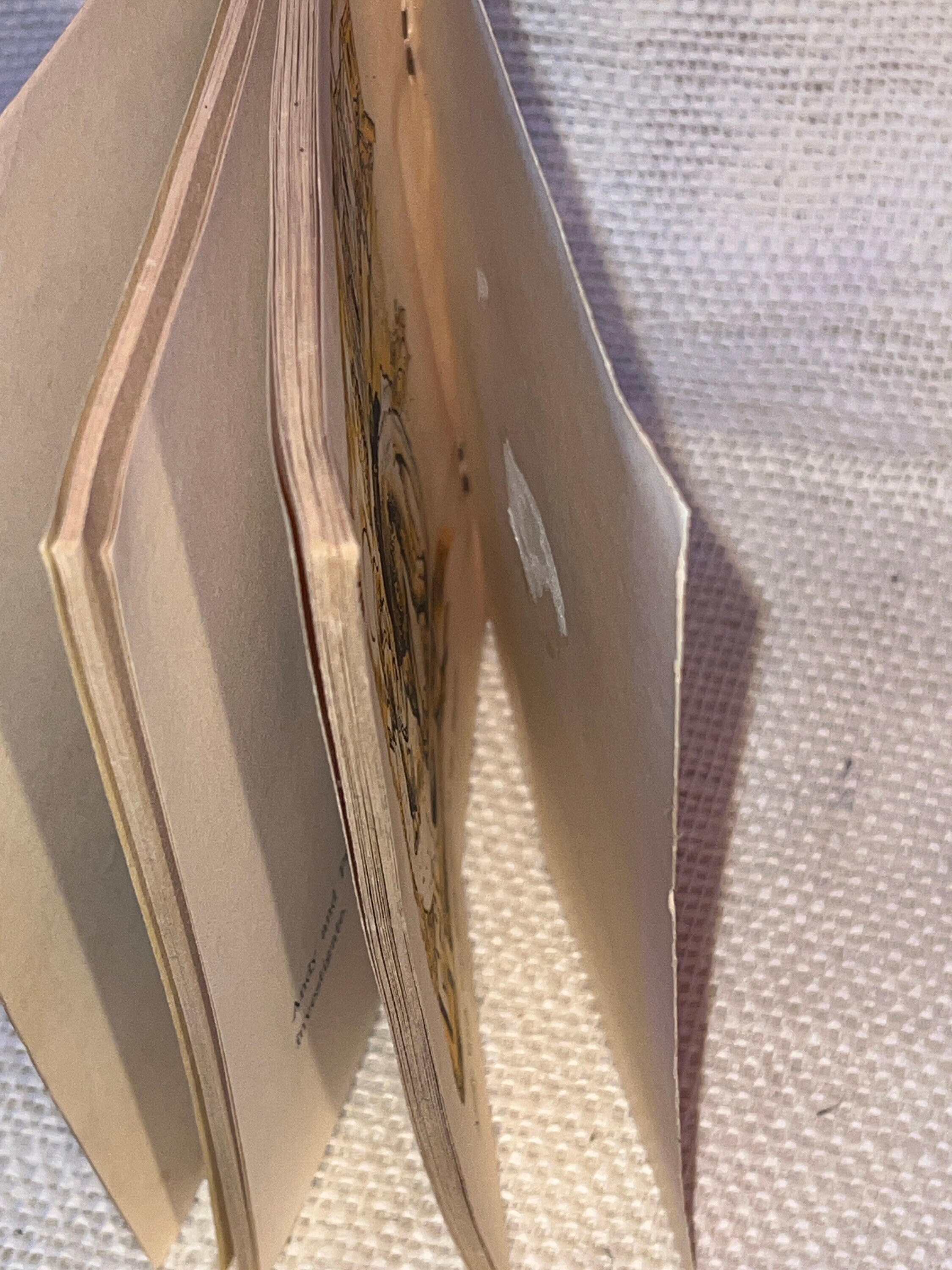 Vintage Book Andy and the Lion by James Daugherty 1967 1ST Scholastic ...