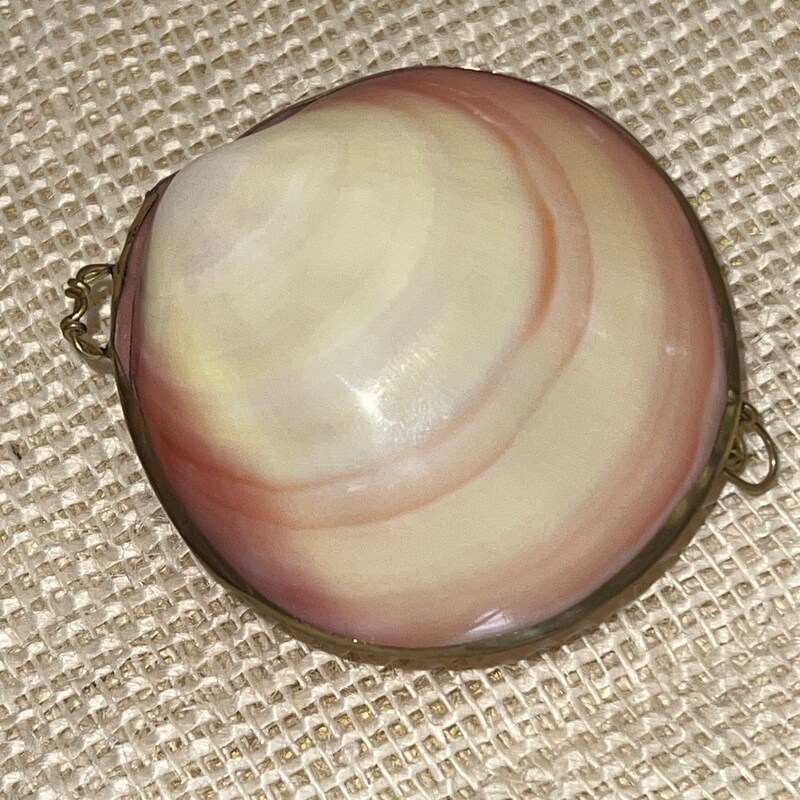 Shell Pill Box - Etsy