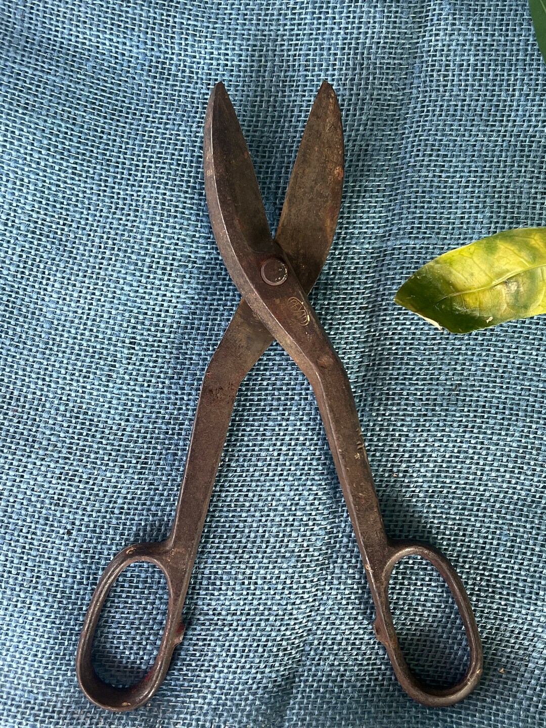 Vintage Pexto Shears Forged Steel 12' Long Made USA - Etsy