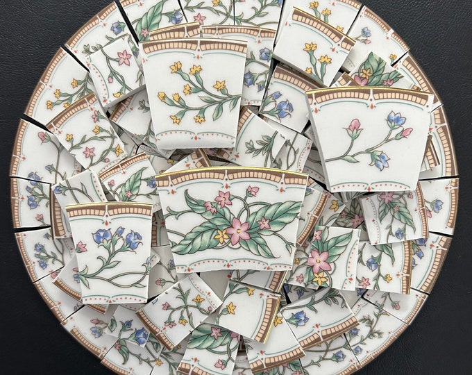 Mosaic Tile Pieces, Broken China Plates, DIY Mosaic Supplies, Ceramic ...