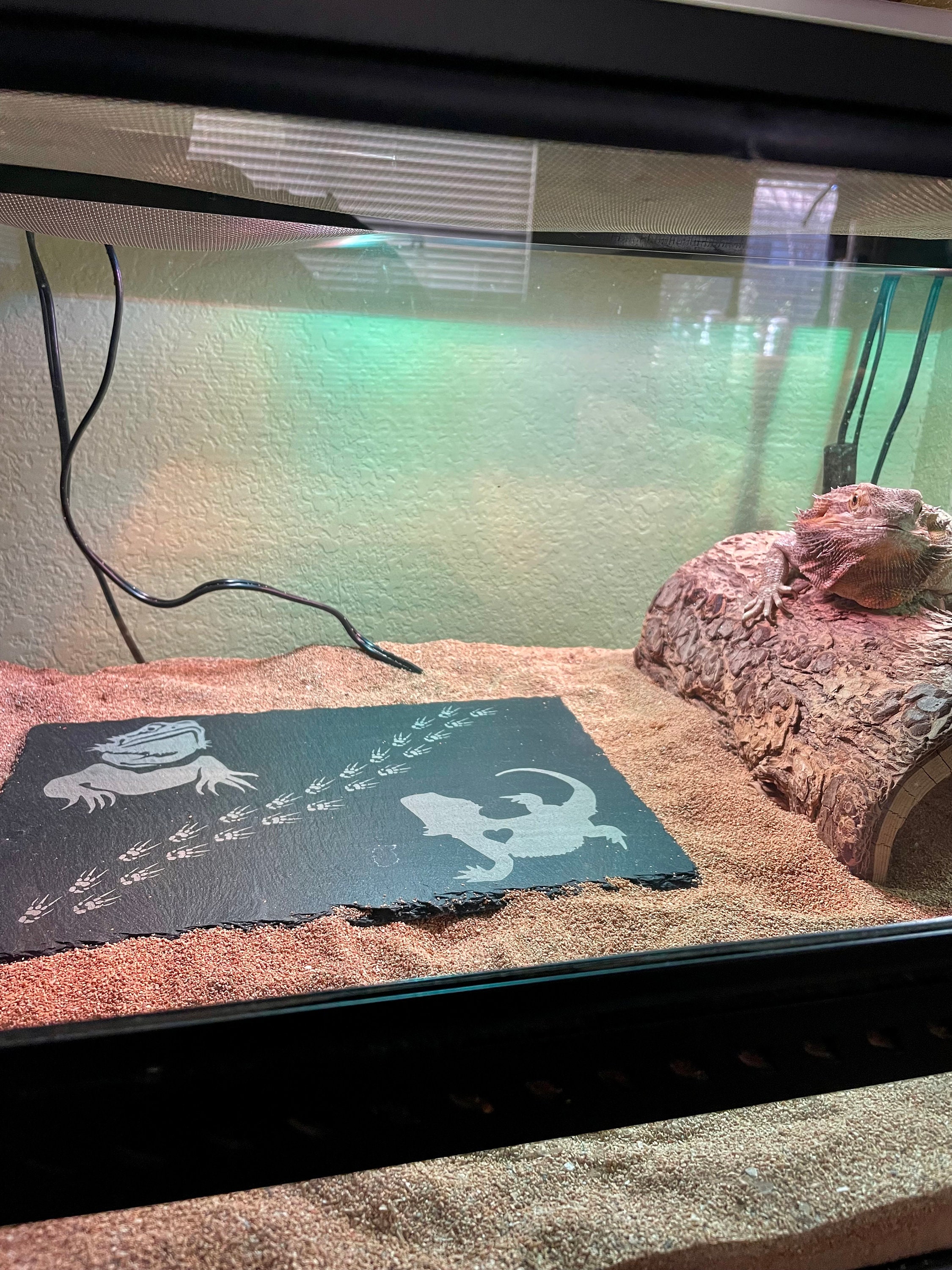 Customized Bearded Dragon/reptile Slate Basking Board - Etsy