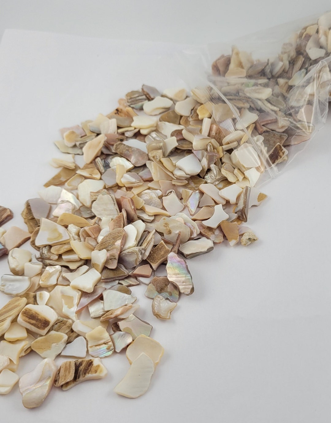 Sea Shell Chips- Available in 1, 2, 3, and 4lb Options - Etsy
