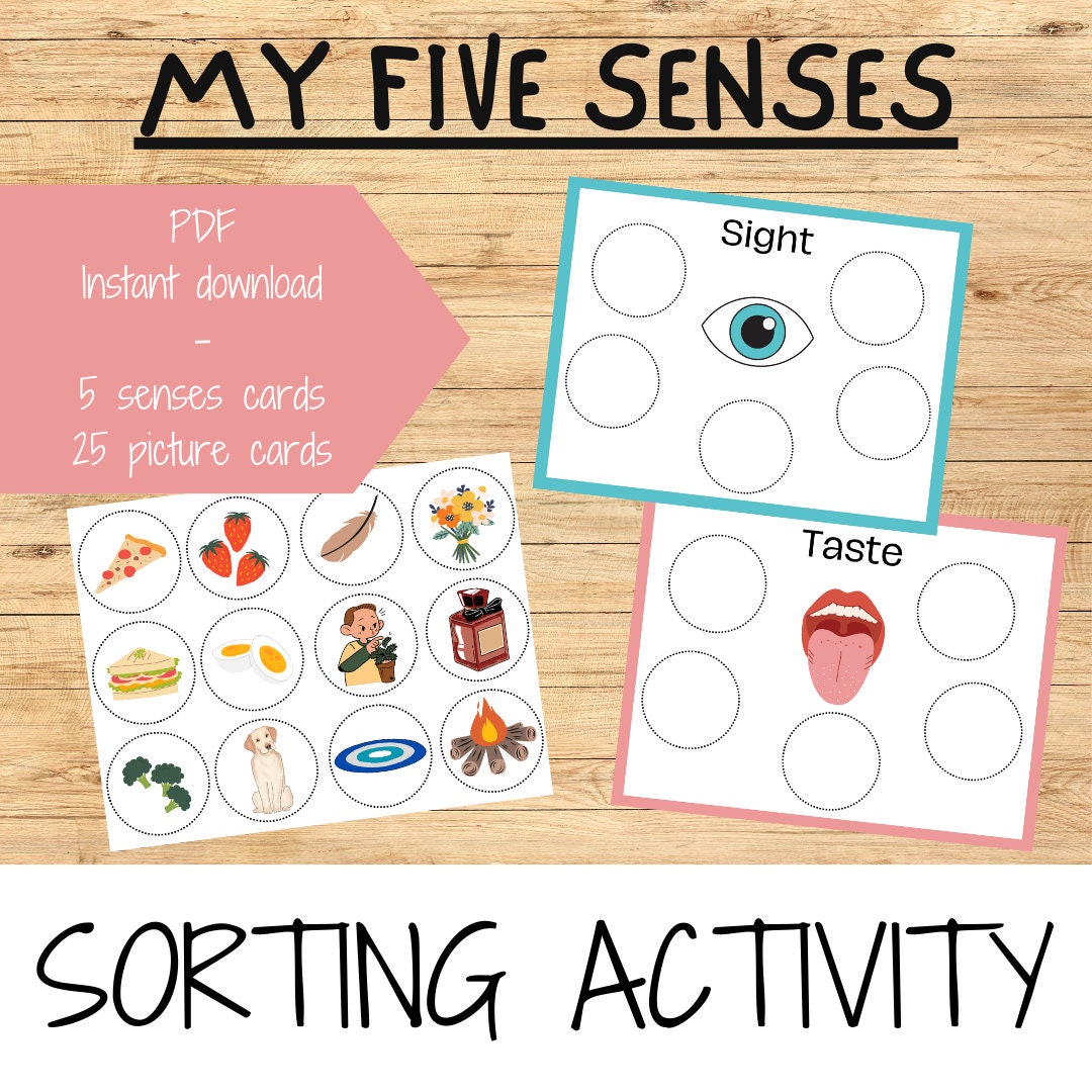 Five Senses Sorting Mat, Digital Printable, Preschool, Kindergarten ... Five Senses Sorting Mat, Digital Printable, Preschool, Kindergarten ...