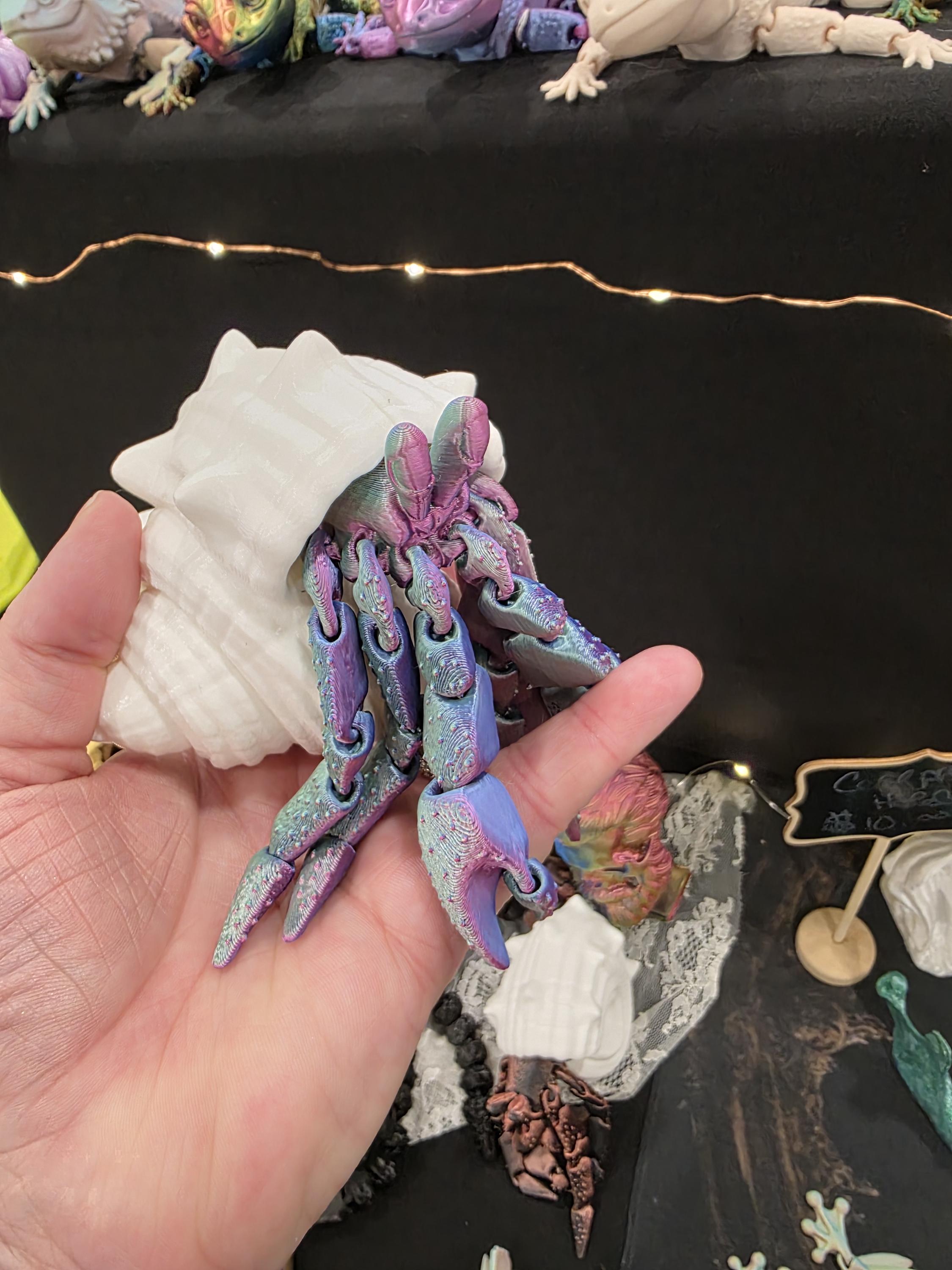 3d Printed Hermit Crab - Etsy