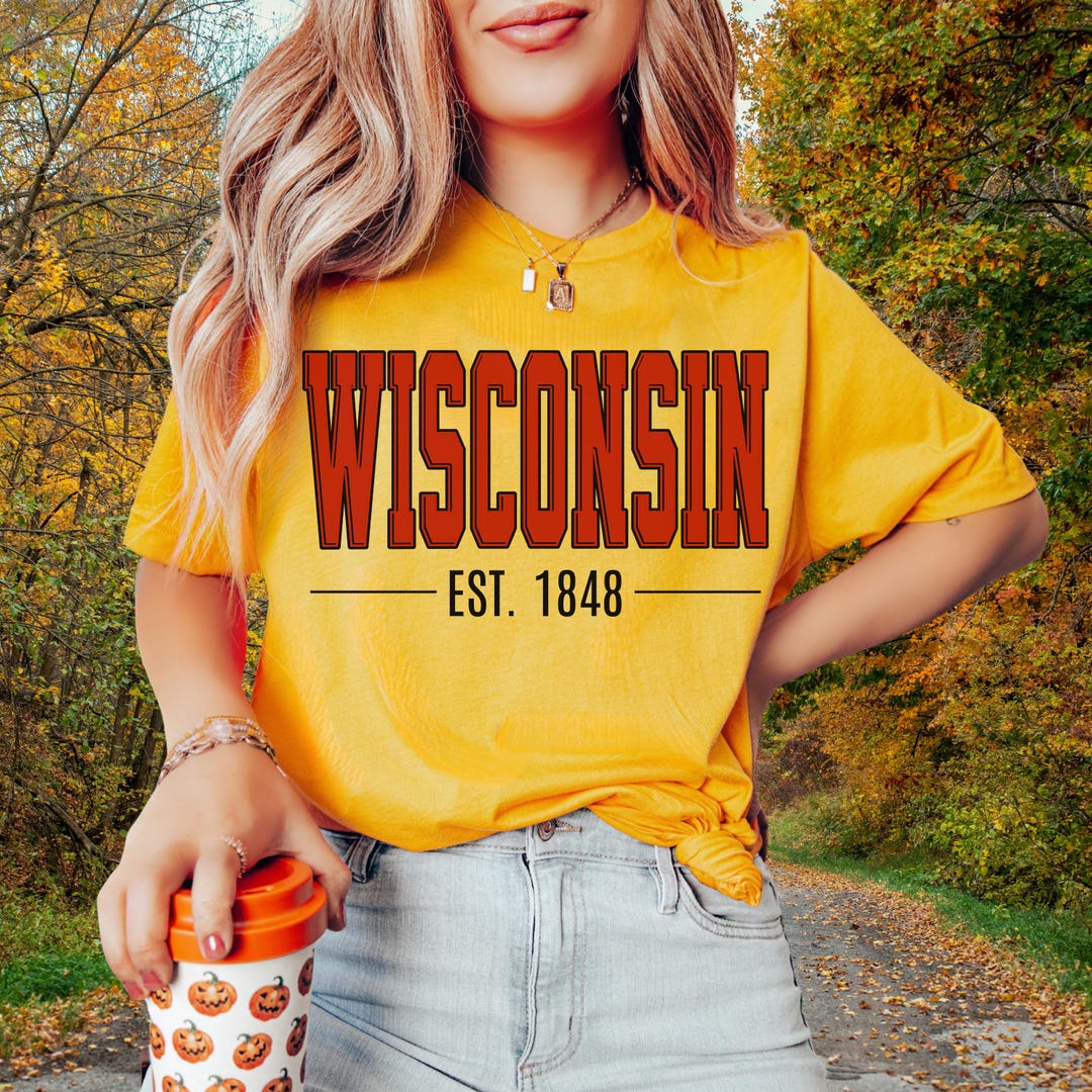 Wisconsin Shirt, the Badger State Madison Wi Tee, Wisconsin Tshirt Gift ...