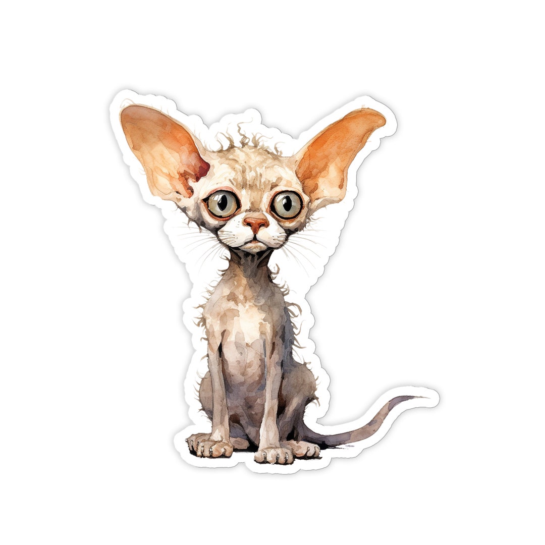 3" Vinyl Sticker, Devon Rex Cat Sticker, Water Bottle Sticker, Laptop ...