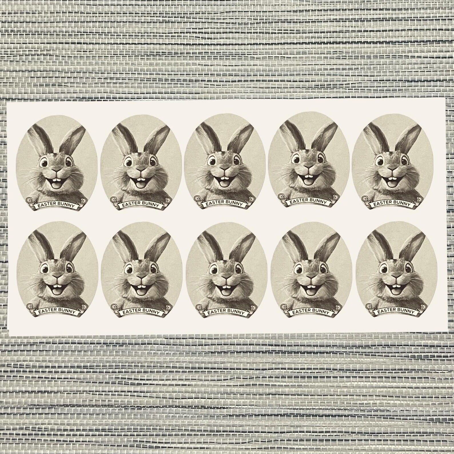 10 Pcs Bunny Money Dollar Bill Stickers 1 and 2 Dollars Easter Money ...