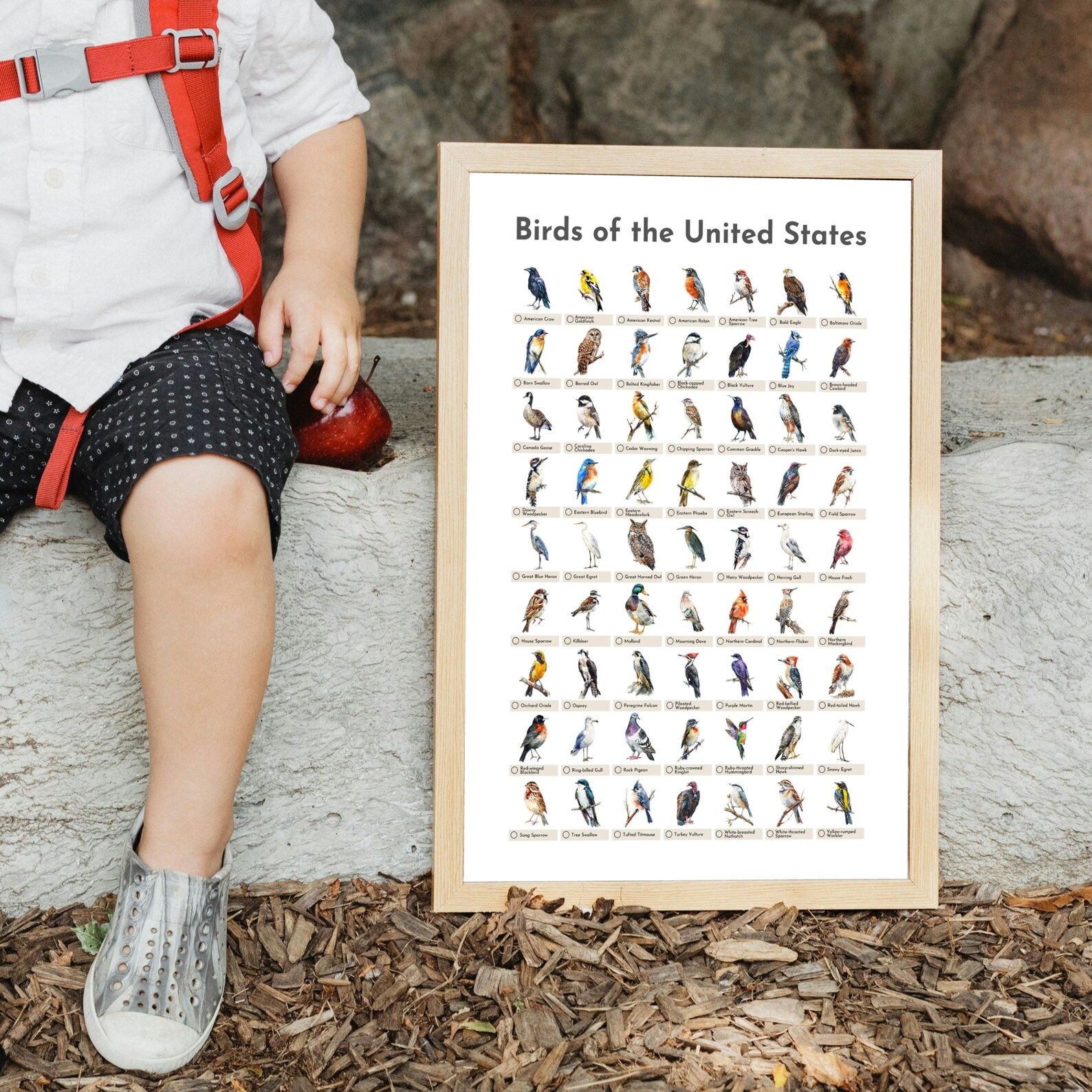 Birding Checklist Printable Digital Download, Birds of the USA ...