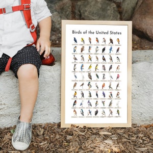 Birding Checklist Printable Digital Download, Birds of the USA ...