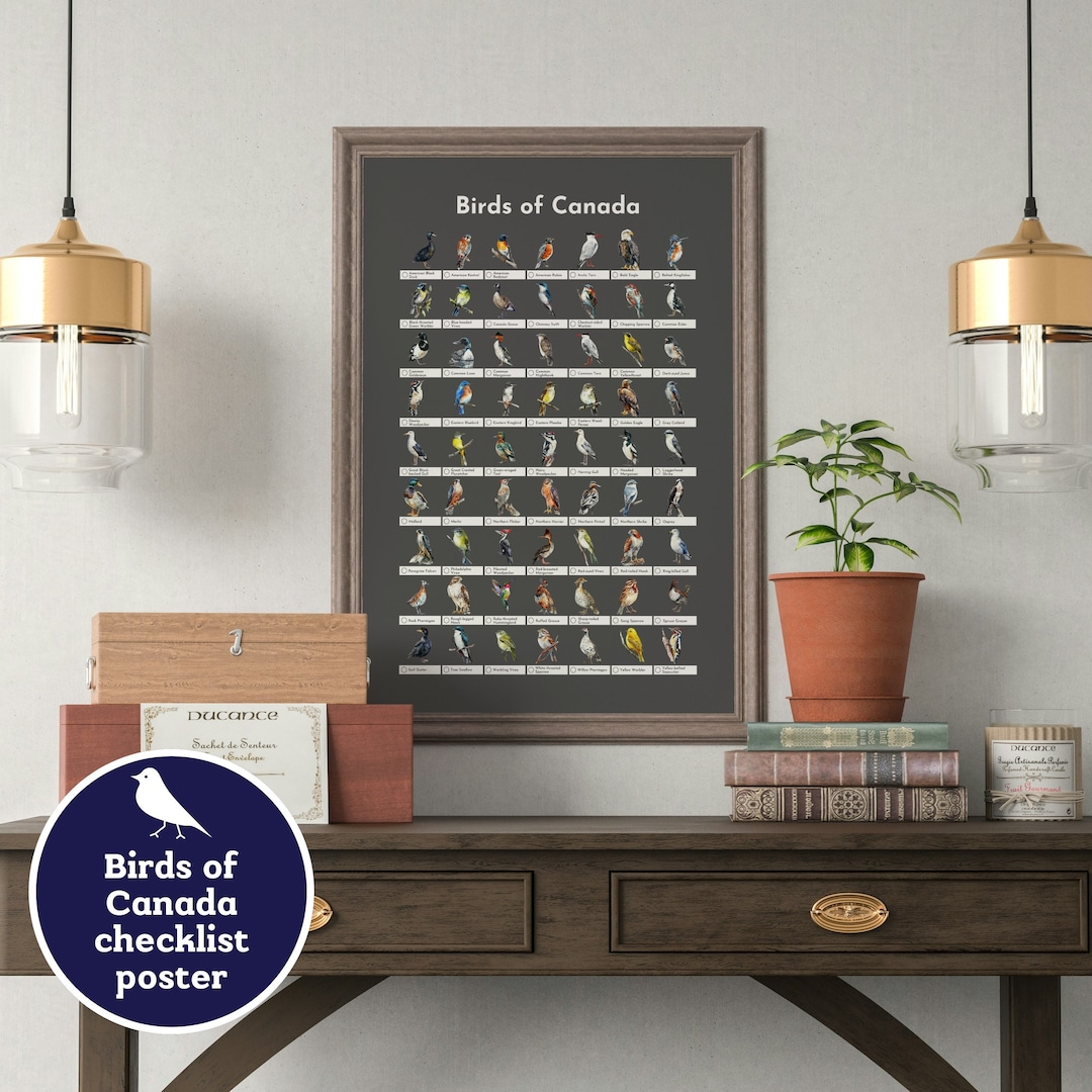 Birds of Canada Checklist Poster, Birding Checklist, Birding Life List ...