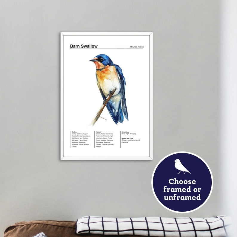Bird Identification Poster, Birding Poster, Barn Swallow Poster, Bird ...