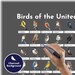 Birding Checklist Printable Digital Download, Birds of the USA ...