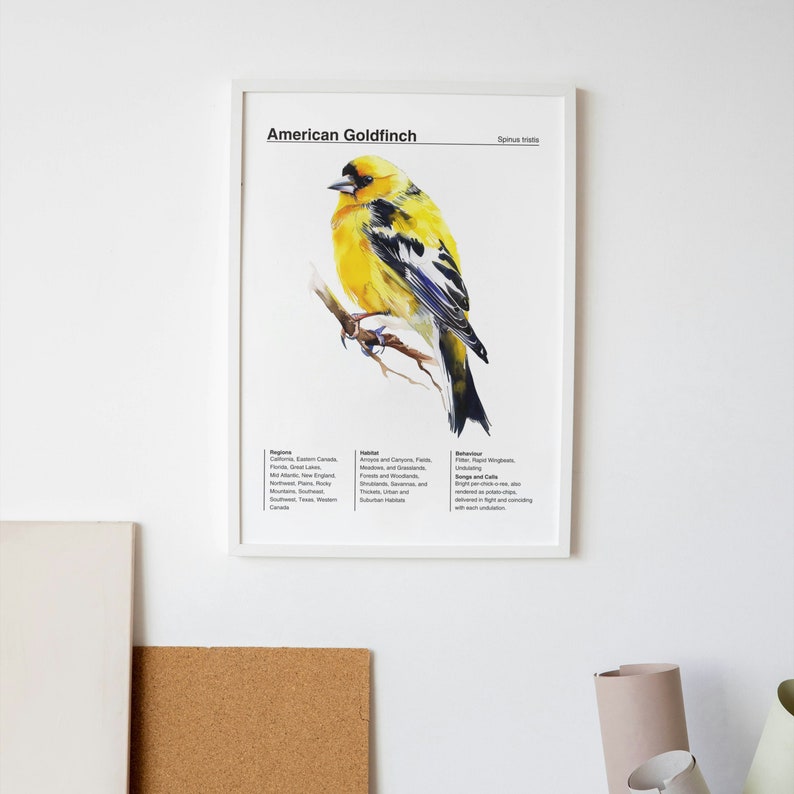 Bird Identification Poster, Birding Poster, American Goldfinch Poster ...