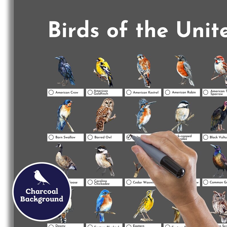 Birding Checklist Printable Digital Download, Birds of the USA ...
