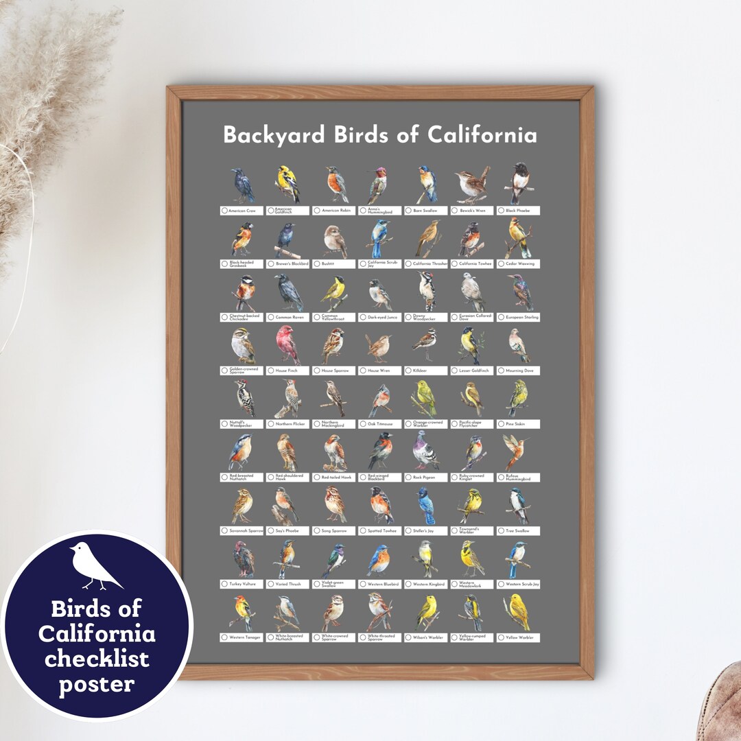Backyard Birds of California Checklist Poster, Birding Checklist ...