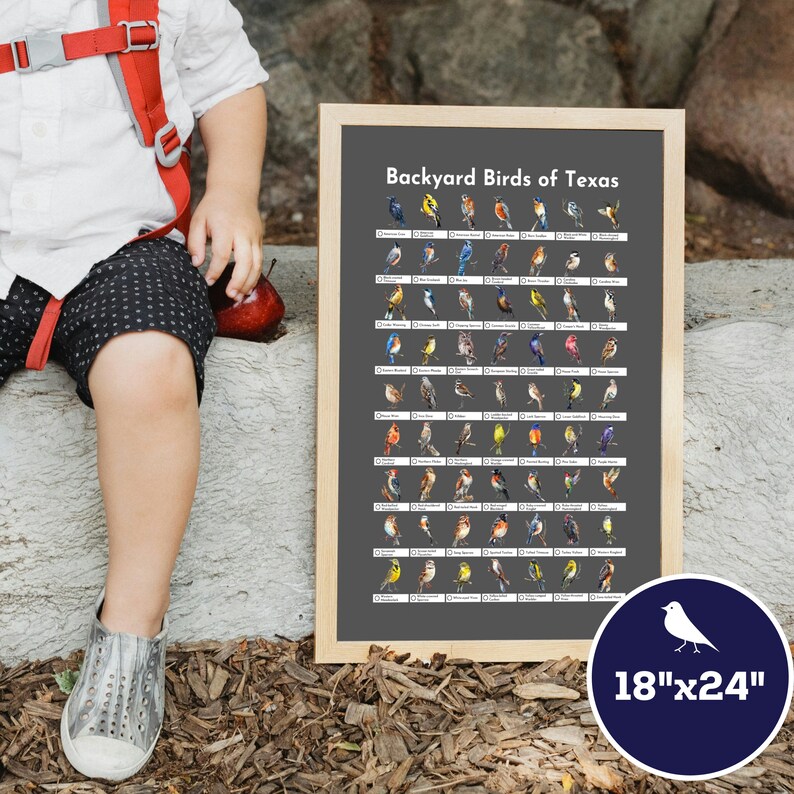 Backyard Birds of Texas Checklist Poster, Birding Checklist, Birding ...