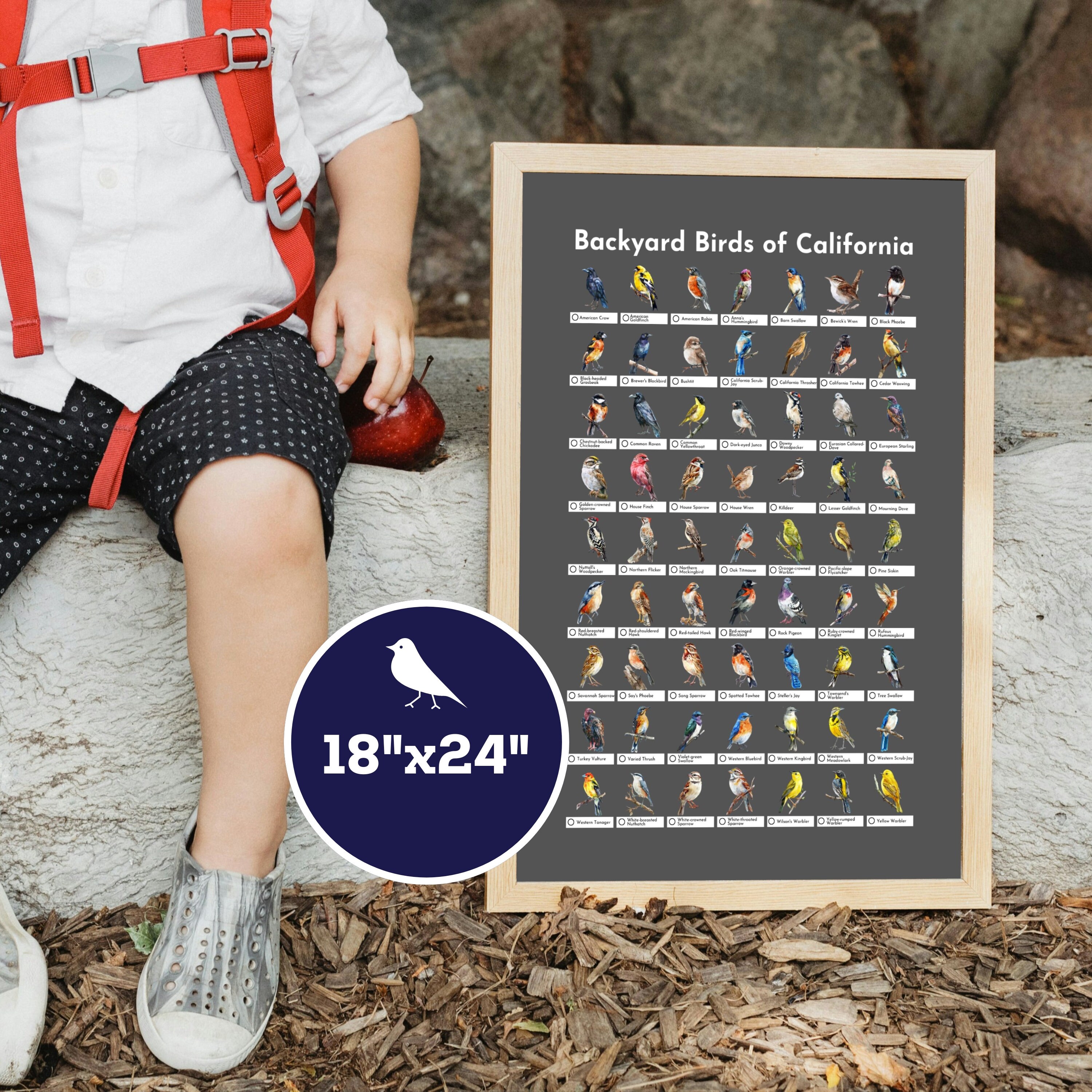 Backyard Birds of California Checklist Poster, Birding Checklist ...