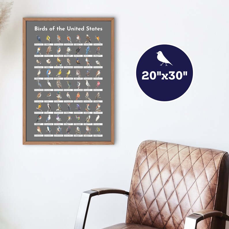 USA Birds Checklist Poster: Birding Life List Gift - Etsy