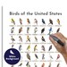 Birding Checklist Printable Digital Download, Birds of the USA ...