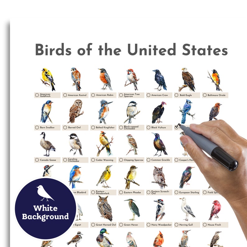 Birding Checklist Printable Digital Download, Birds of the USA ...