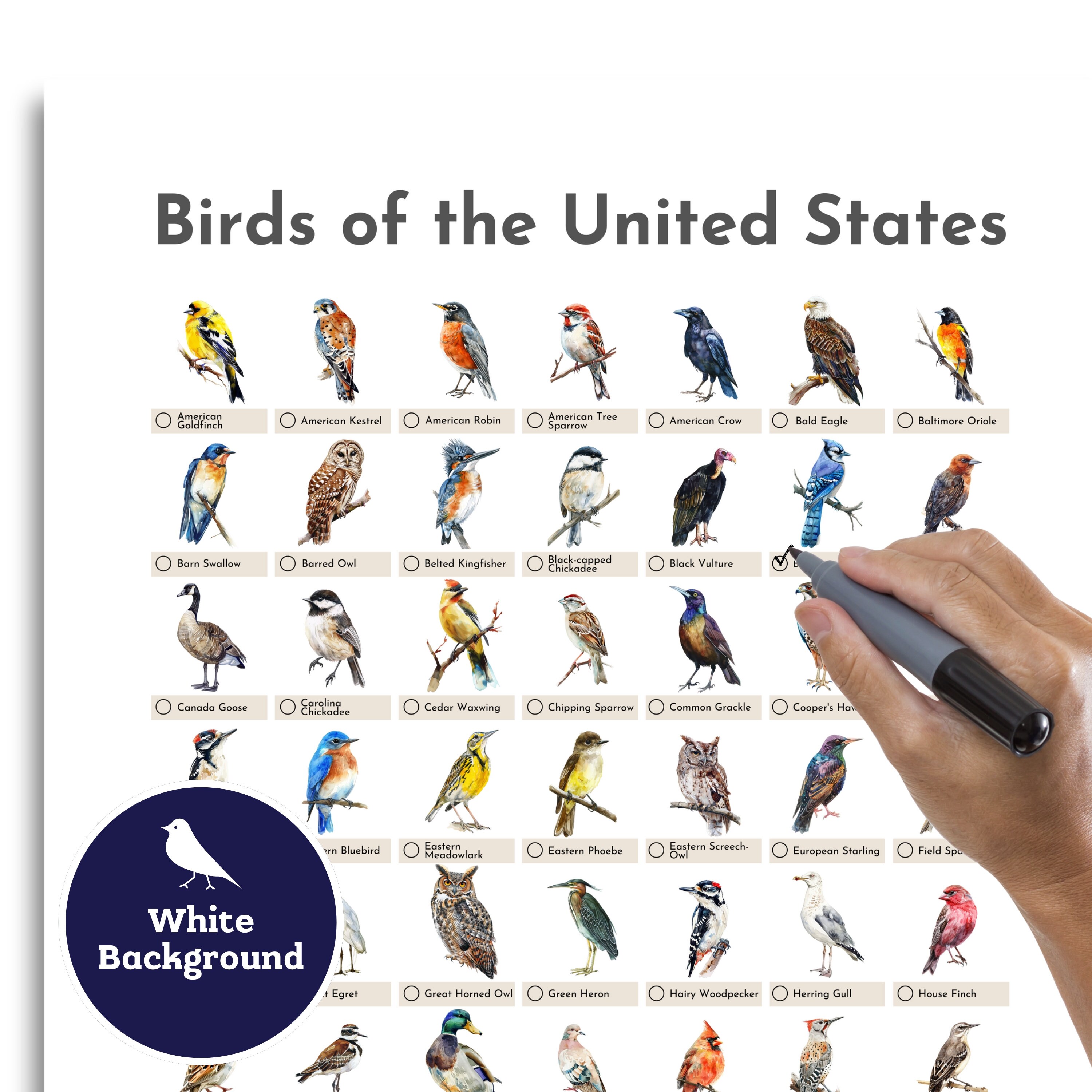 Birding Checklist Printable Digital Download, Birds of the USA ...
