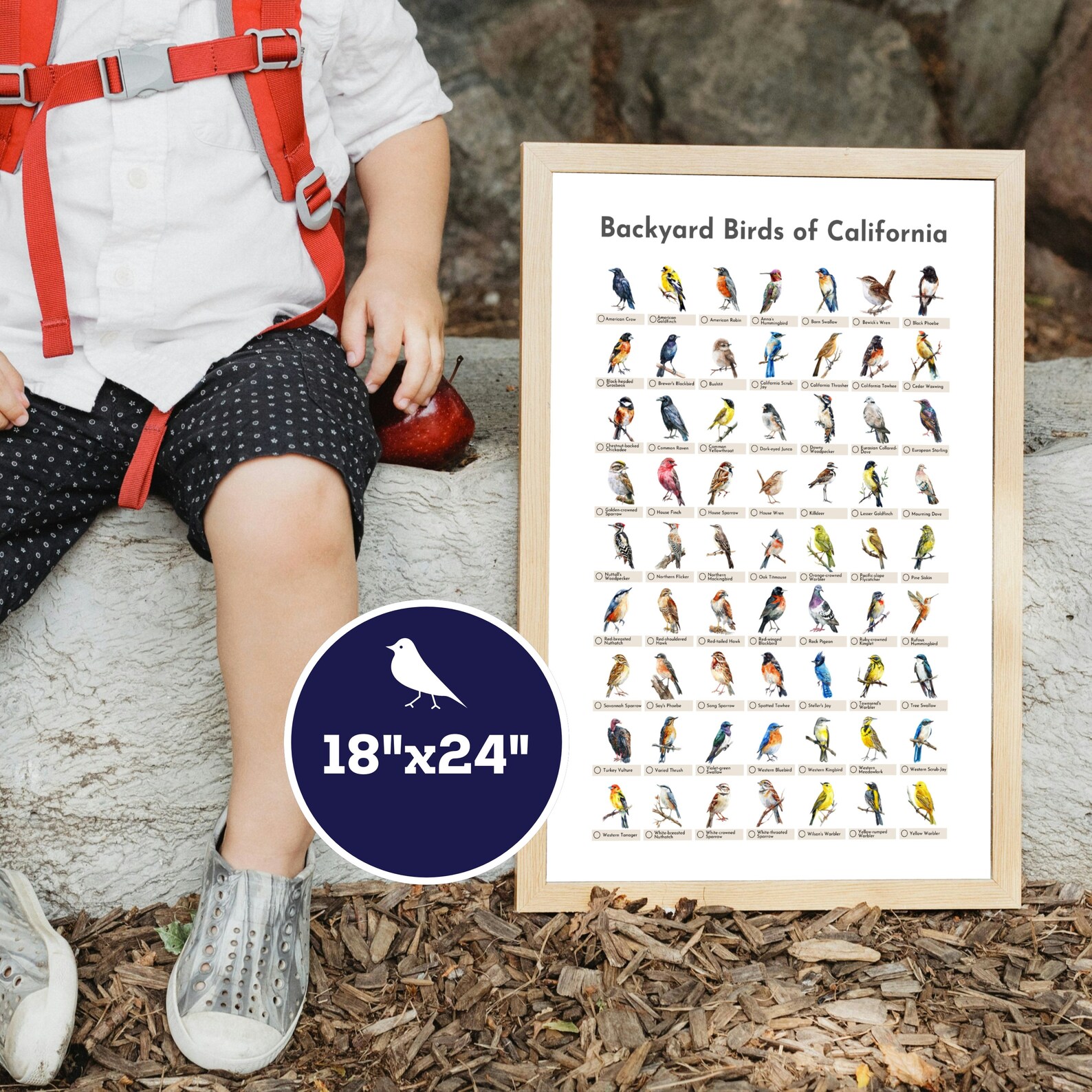 Backyard Birds of California Checklist Poster, Birding Checklist ...