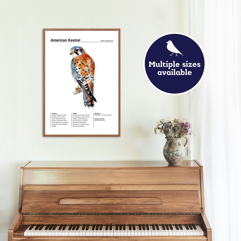 Bird Identification Poster, Birding Poster, American Kestrel Poster ...