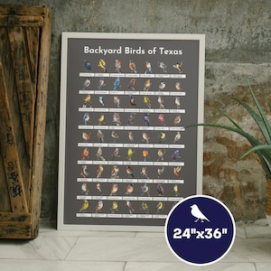 Backyard Birds of Texas Checklist Poster, Birding Checklist, Birding ...